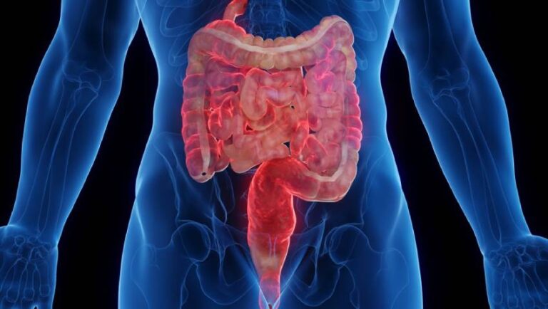 The Importance of Regular Checkups for IBD Patients- Kaizen Gastro Care